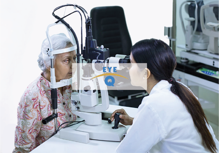 EYEQ - Faveo Helpdesk Software